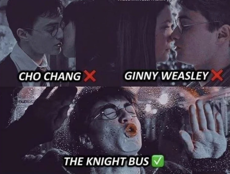 Harry’s Perfect Match | Fandom