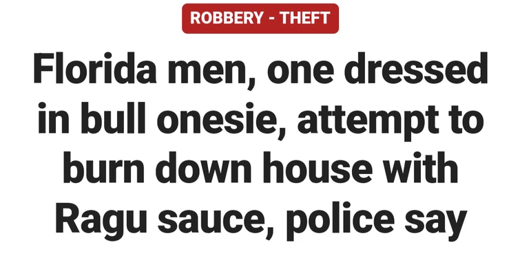 Search up "Florida Man" and then your birthday. | Fandom