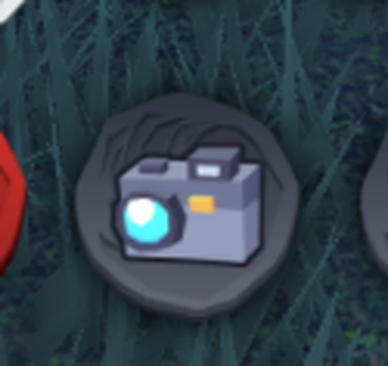 Camera Problems | Fandom