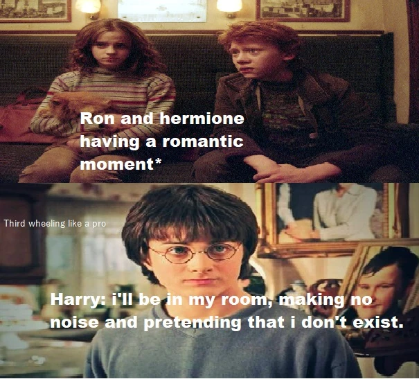 Harry Potter Meme Hermione