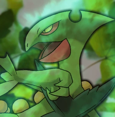 Hoenn Starter Battle Royale | Fandom