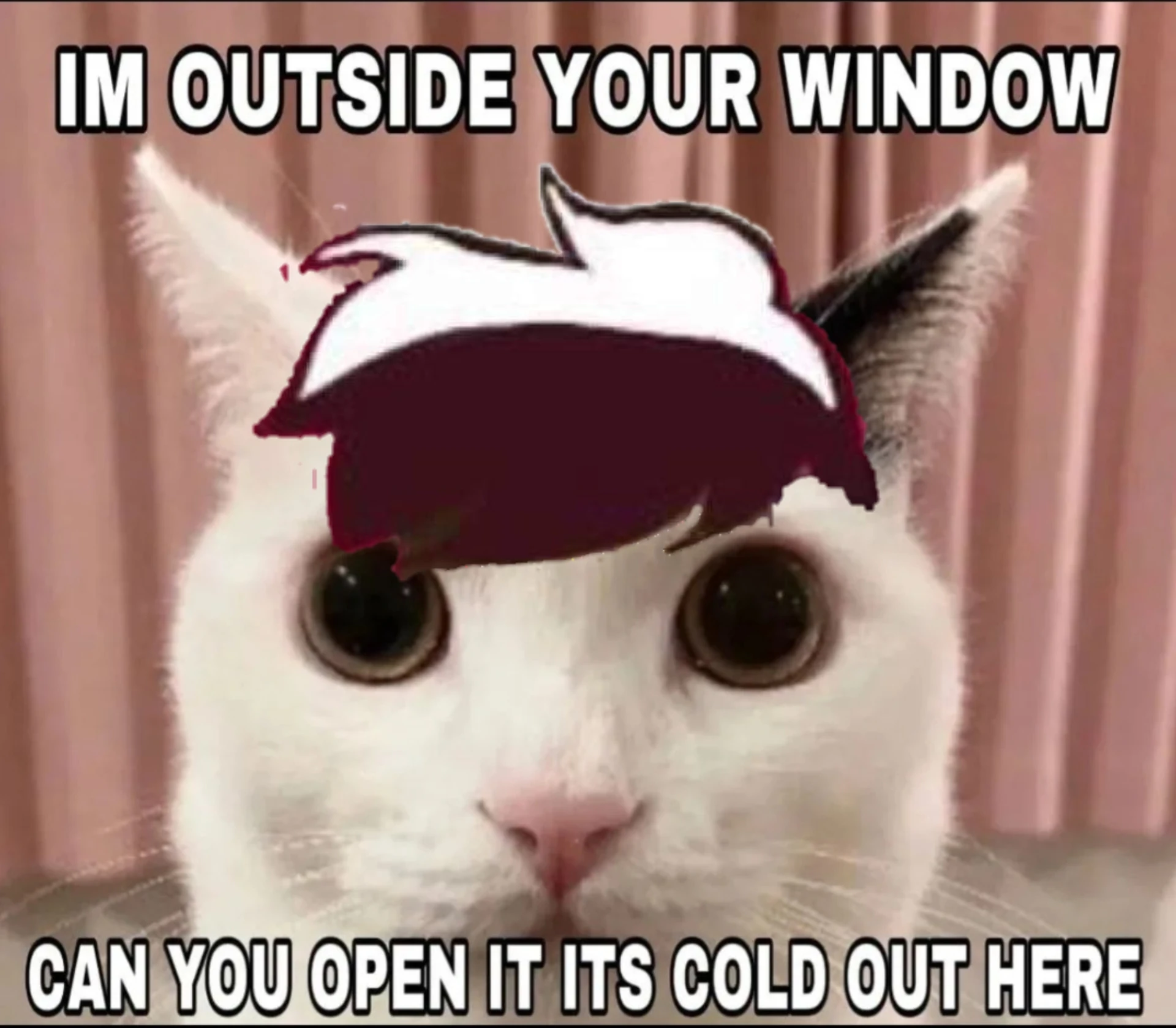 Please guys🥺 | Fandom