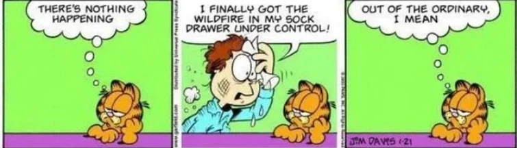 Top 10 funniest garfield comics of all time | Fandom