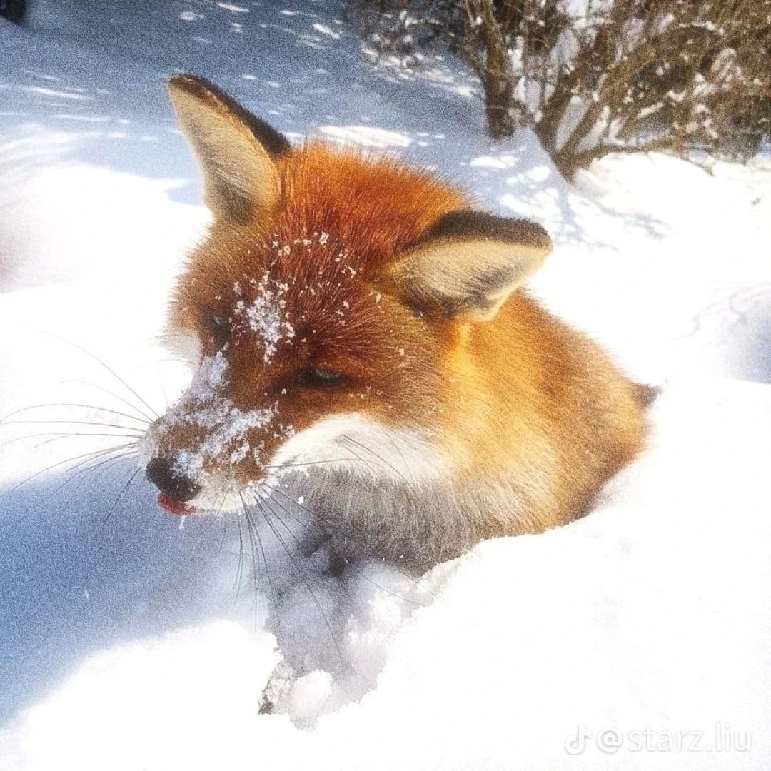 good morning yall | Fandom