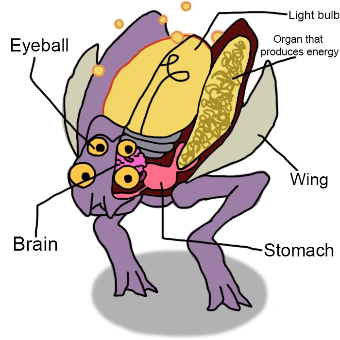 Monster Anatomy Back 02! | Fandom
