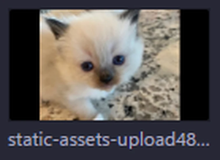 i was trying to edit a video and somehow i accidentally inserted a ...