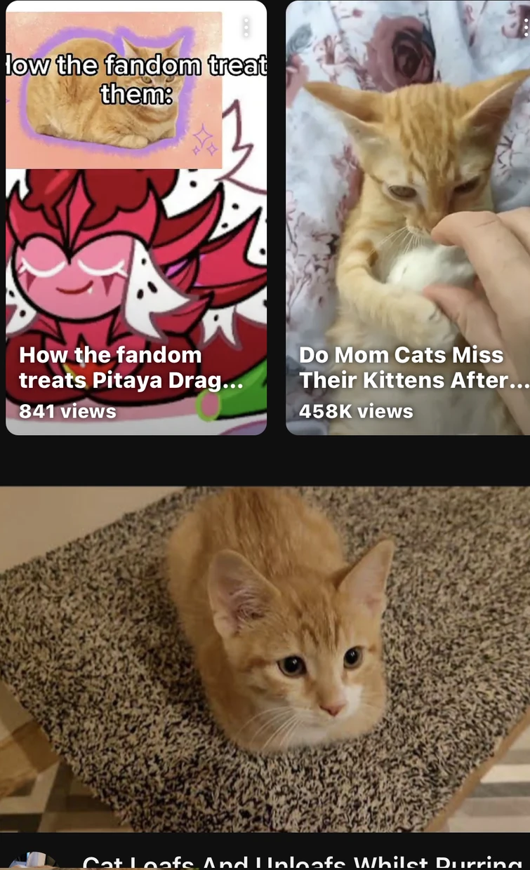 spot the difference | Fandom