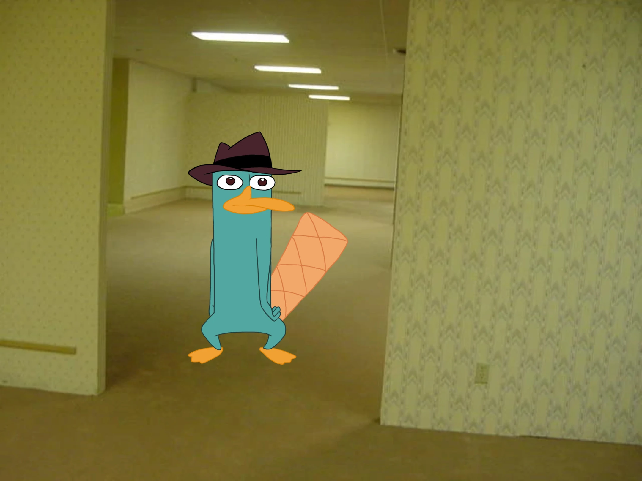 “Hey, where’s perry?” | Fandom