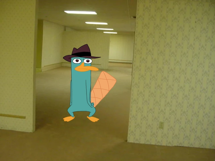 “Hey, where’s perry?” | Fandom