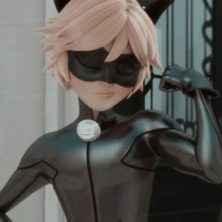 Who do you simp for in miraculous ladybug | Fandom
