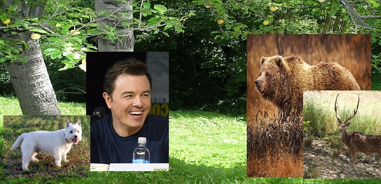 peter vs boog: the live action remake | Fandom