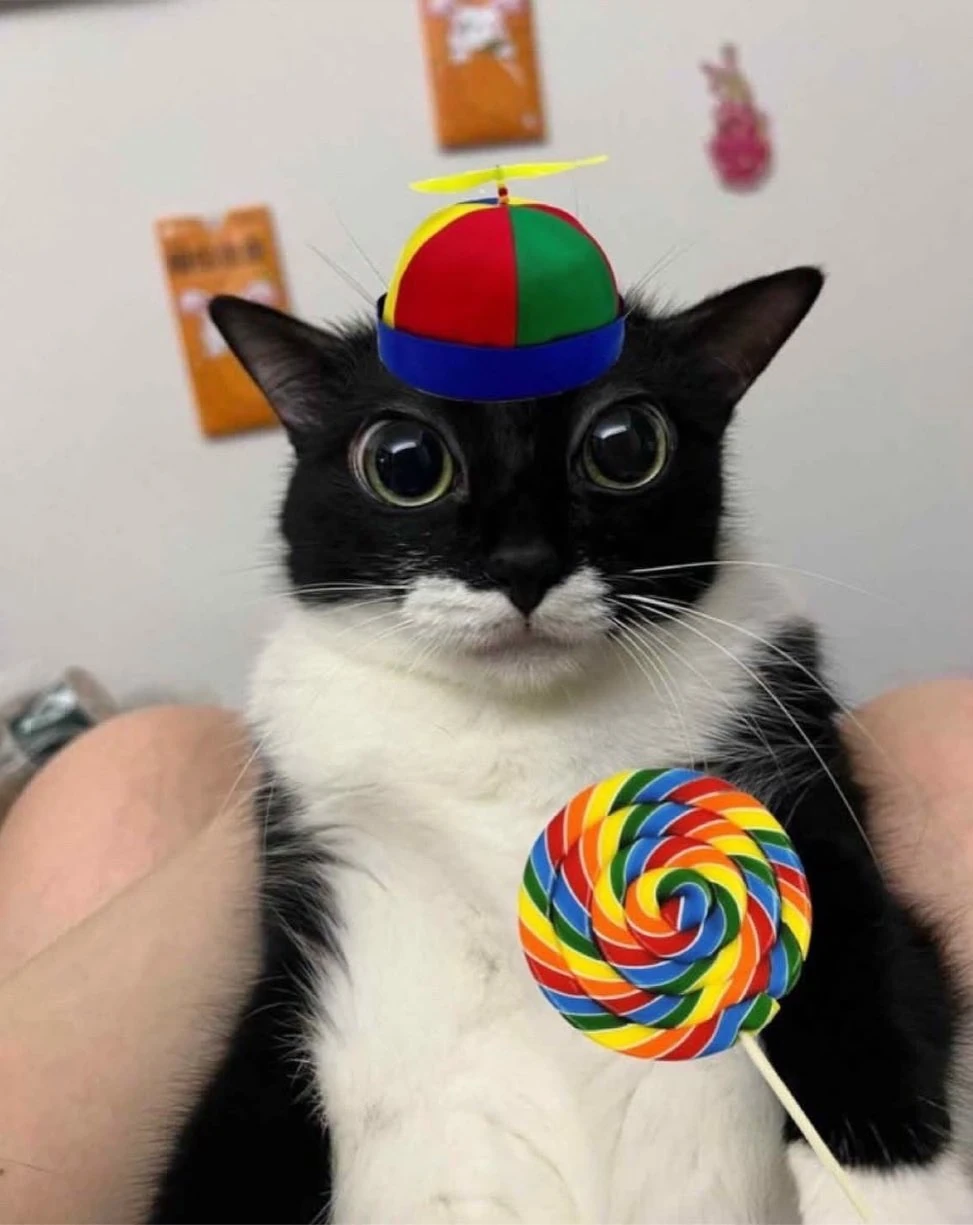 evil complete interactions still open or something.... | Fandom