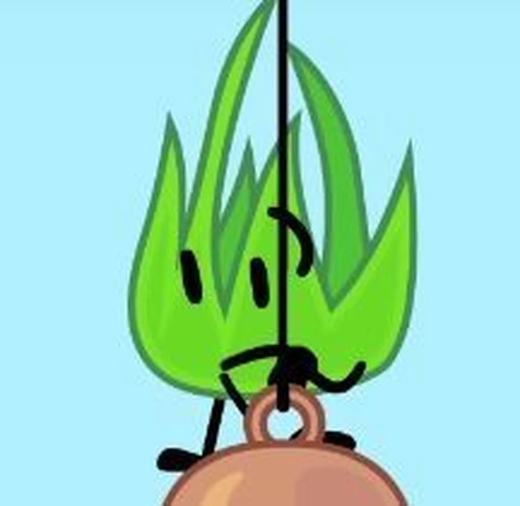 Ranking all 257 TD, DC, BFDI, and II characters | Fandom