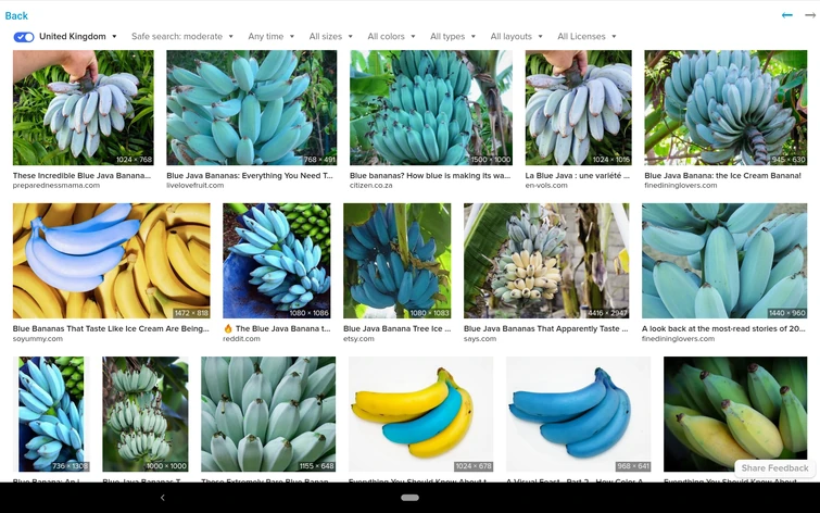 BLUE BANANAS HERE YALL give them to blue now! | Fandom