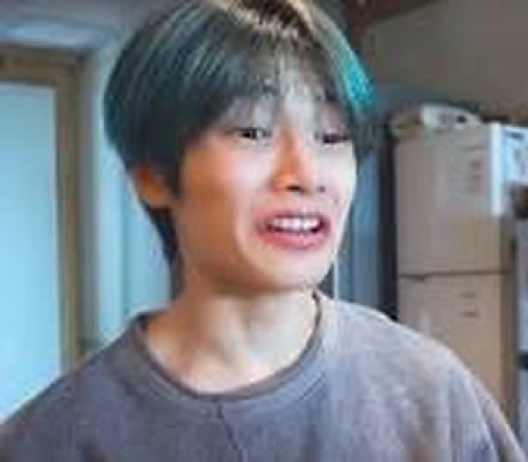 Discuss Everything About Stray Kids Wiki | Fandom