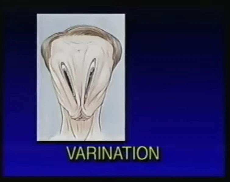 How we feeling rn? | Fandom