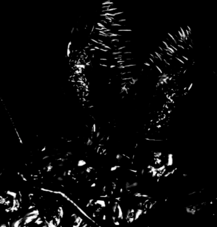 What should the audio be for this phase if this was an actual phase ...