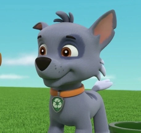 Paw patrol | Fandom