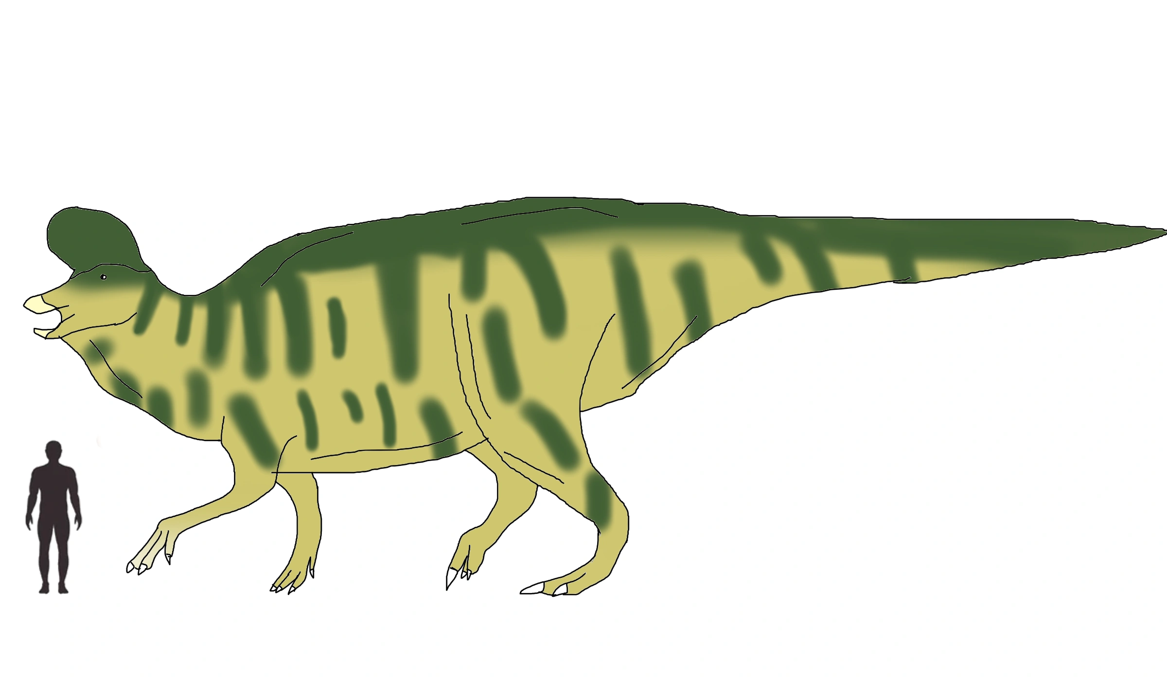 Day 23 of drawing DBWC Dinosaurs: Lambeosaurus | Fandom