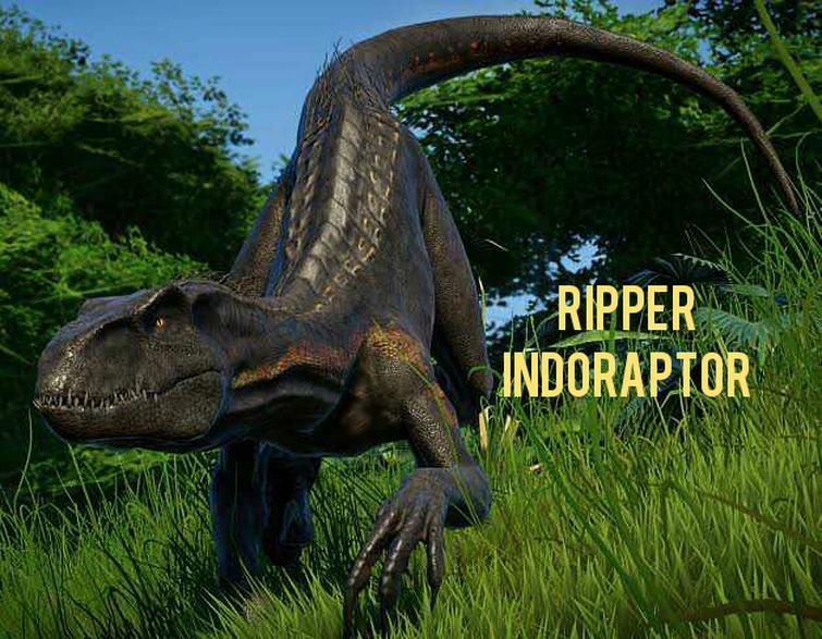 The Chonk Chart | Fandom