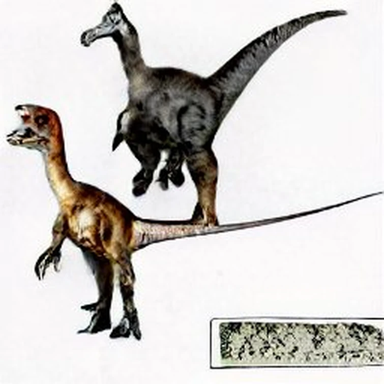 Discuss Everything About Dinopedia | Fandom