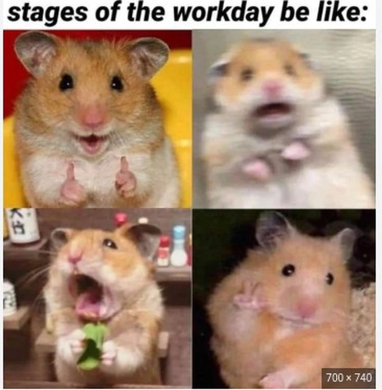 Anyone want a workday meme? Based on COS? | Fandom