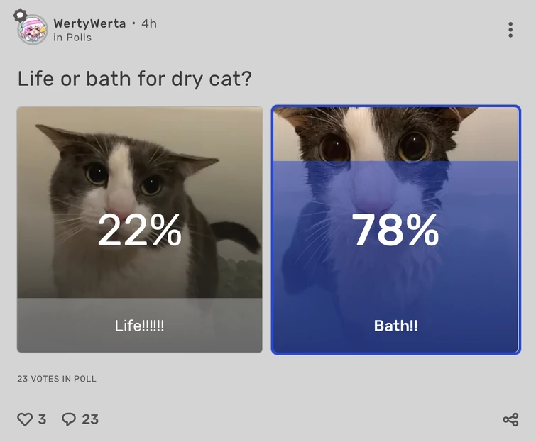Life or bath for dry cat | Fandom