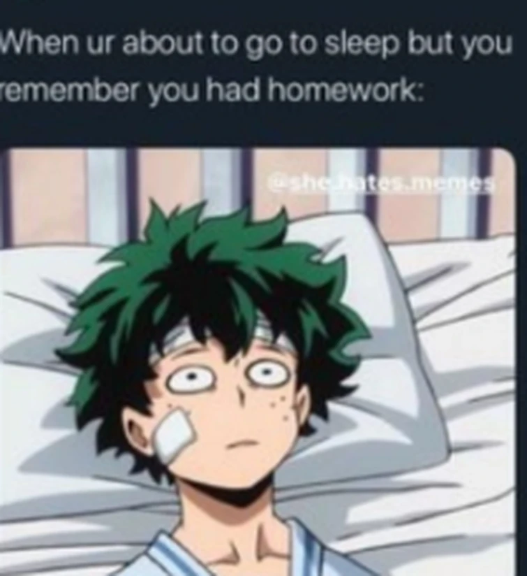 Daily Dose of MHA memes part 4 (MEMES) | Fandom