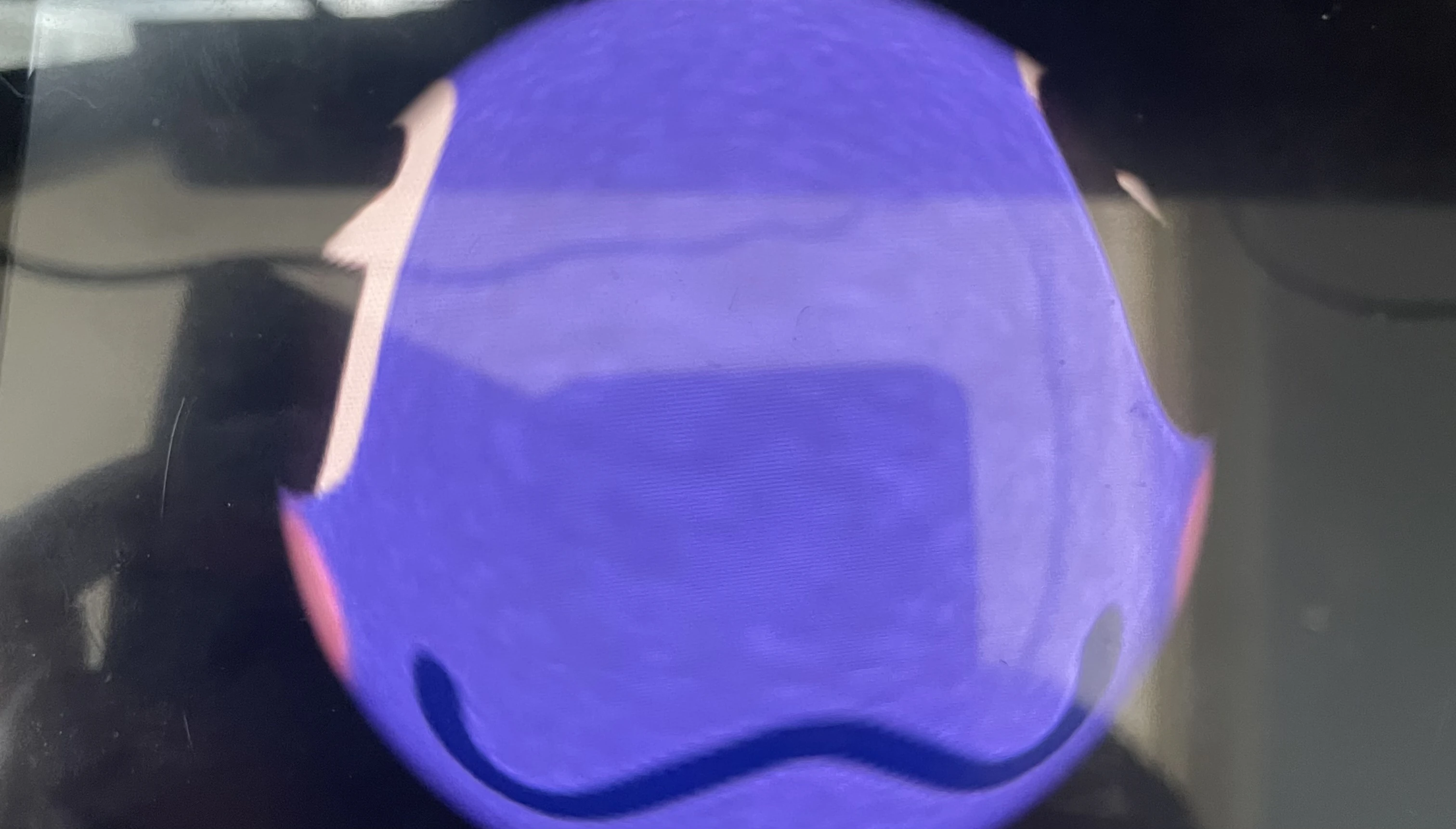 super close up fisheye rosie face with reflecting light from my switch ...