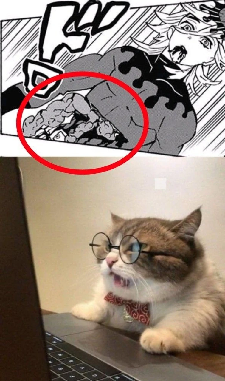 Somebody explain | Fandom