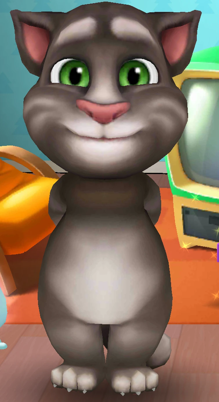 I think I feed my first Tom a bit too much he's chubby now. | Fandom