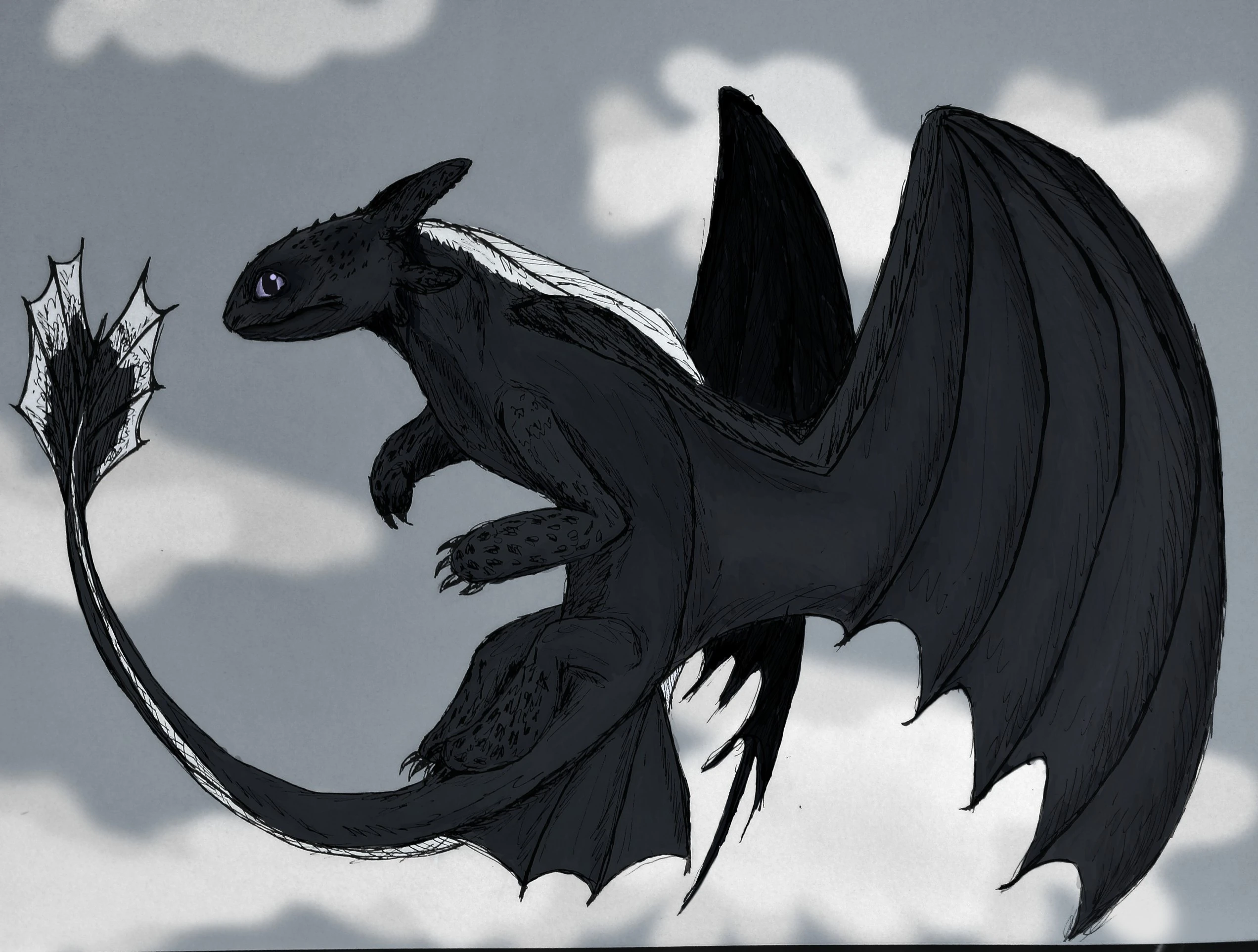 Night Light OC | Fandom