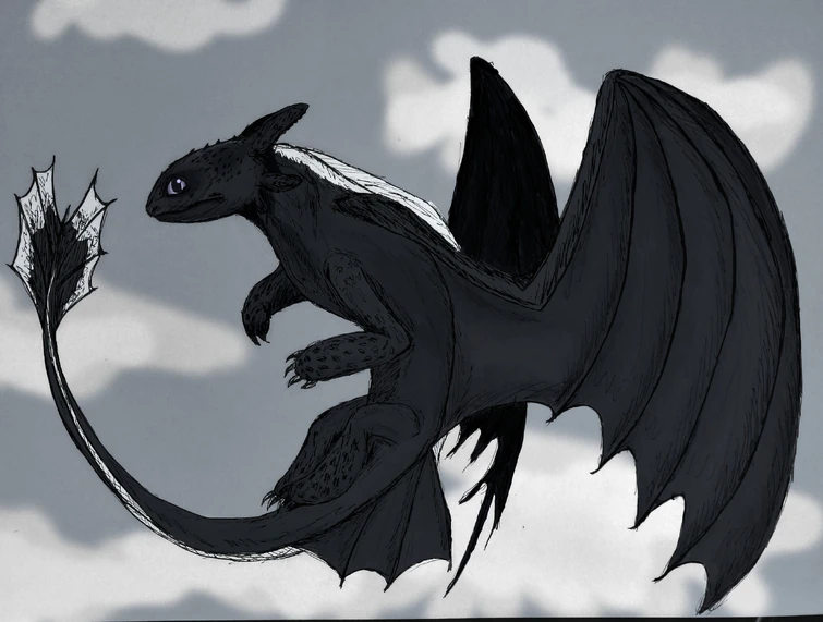 Night Light OC | Fandom