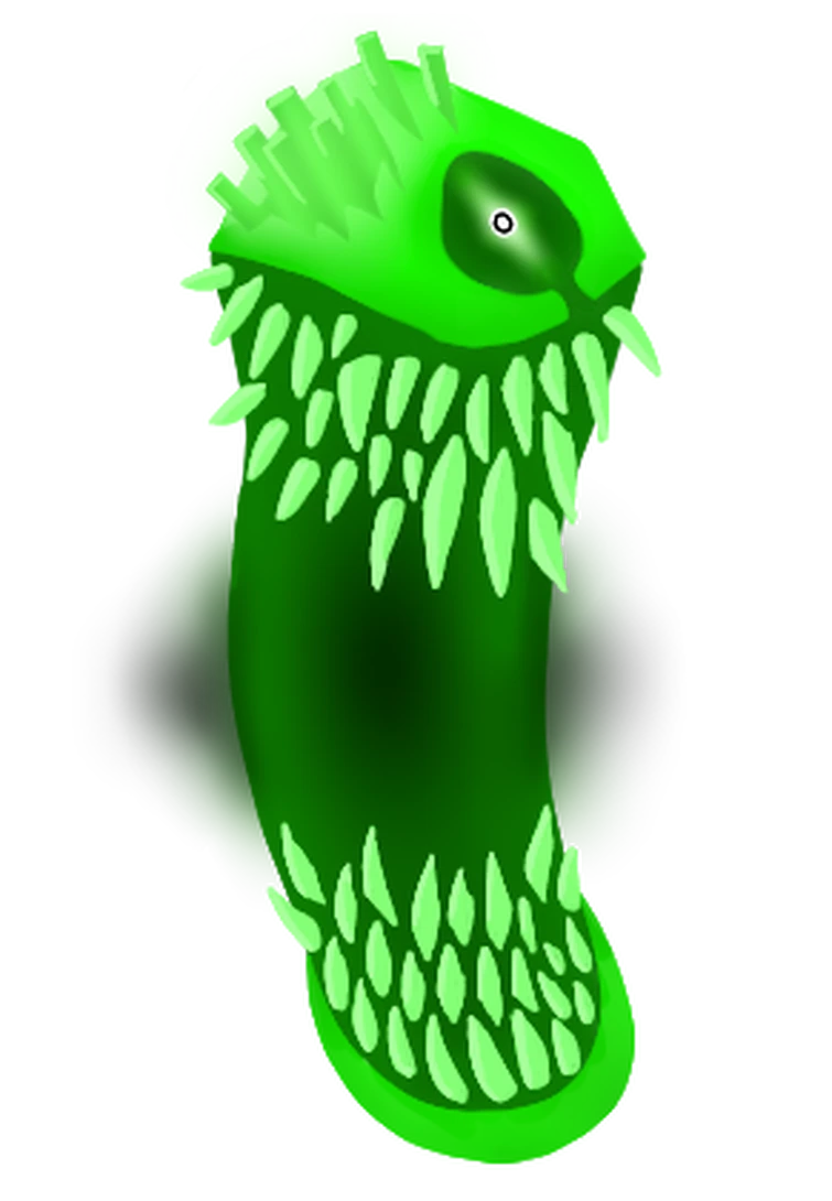 Discuss Everything About Doors Ideas Wiki | Fandom