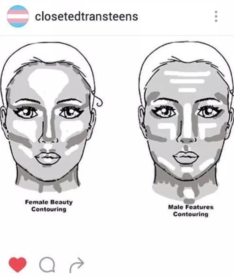 Helpful contour guide to appear more feminine/masculine | Fandom