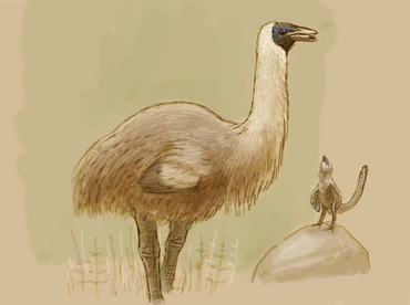 Discuss Everything About Dinopedia | Fandom
