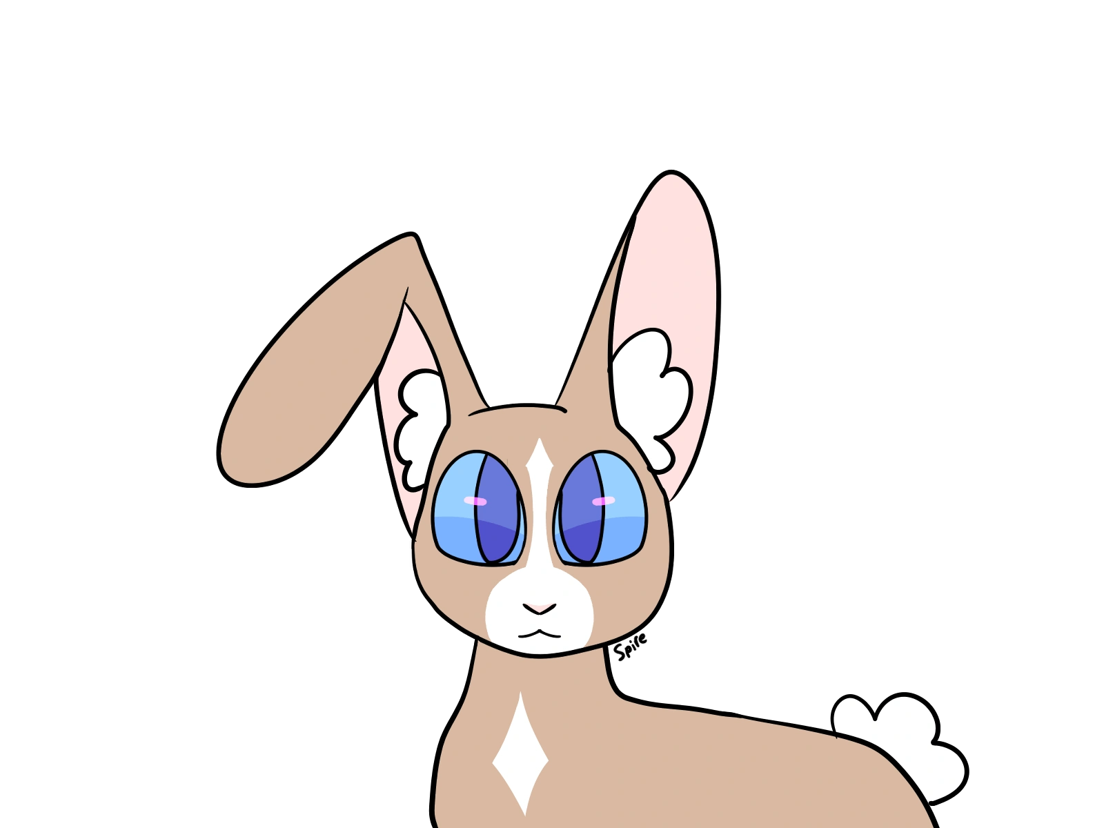 random bunny | Fandom