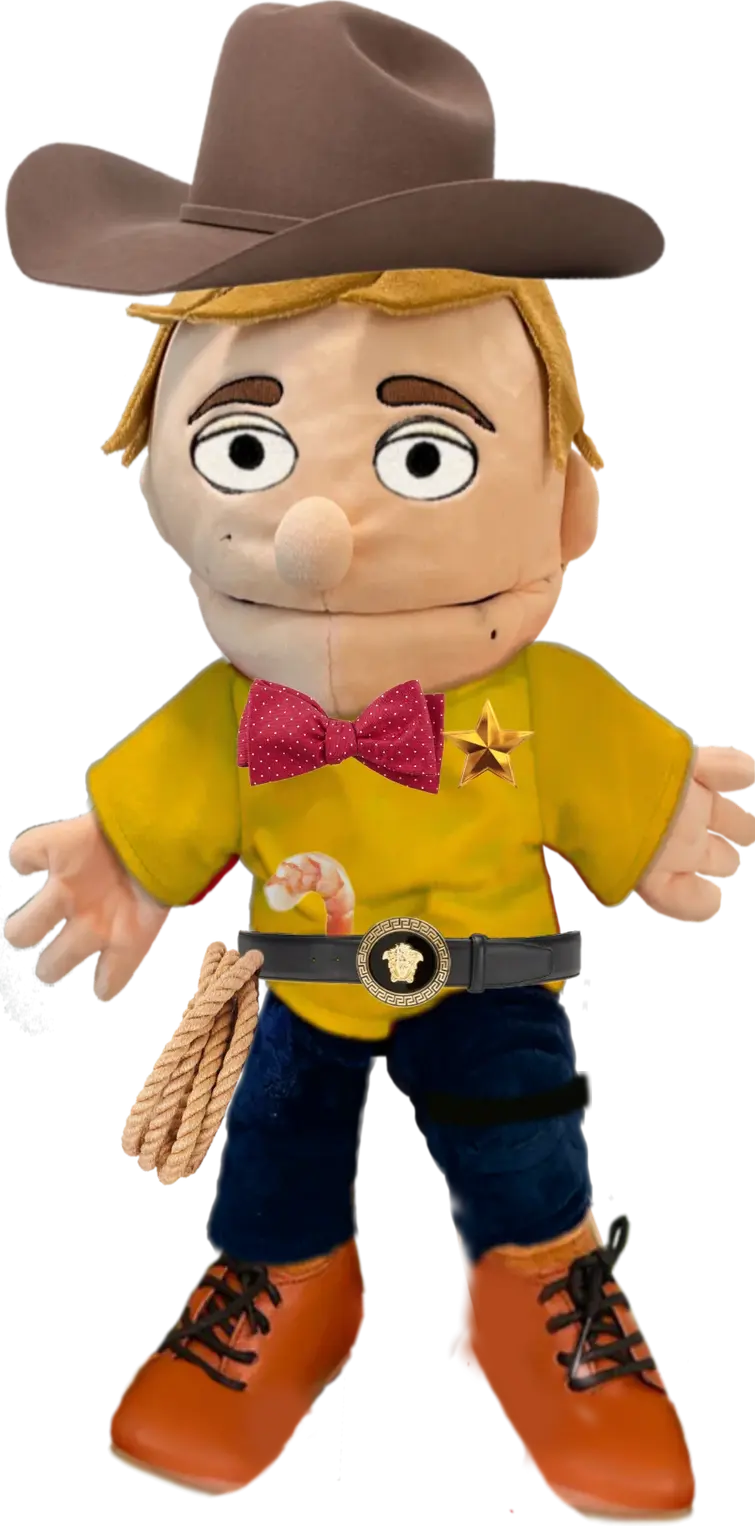 Woody Puppet I Made. | Fandom