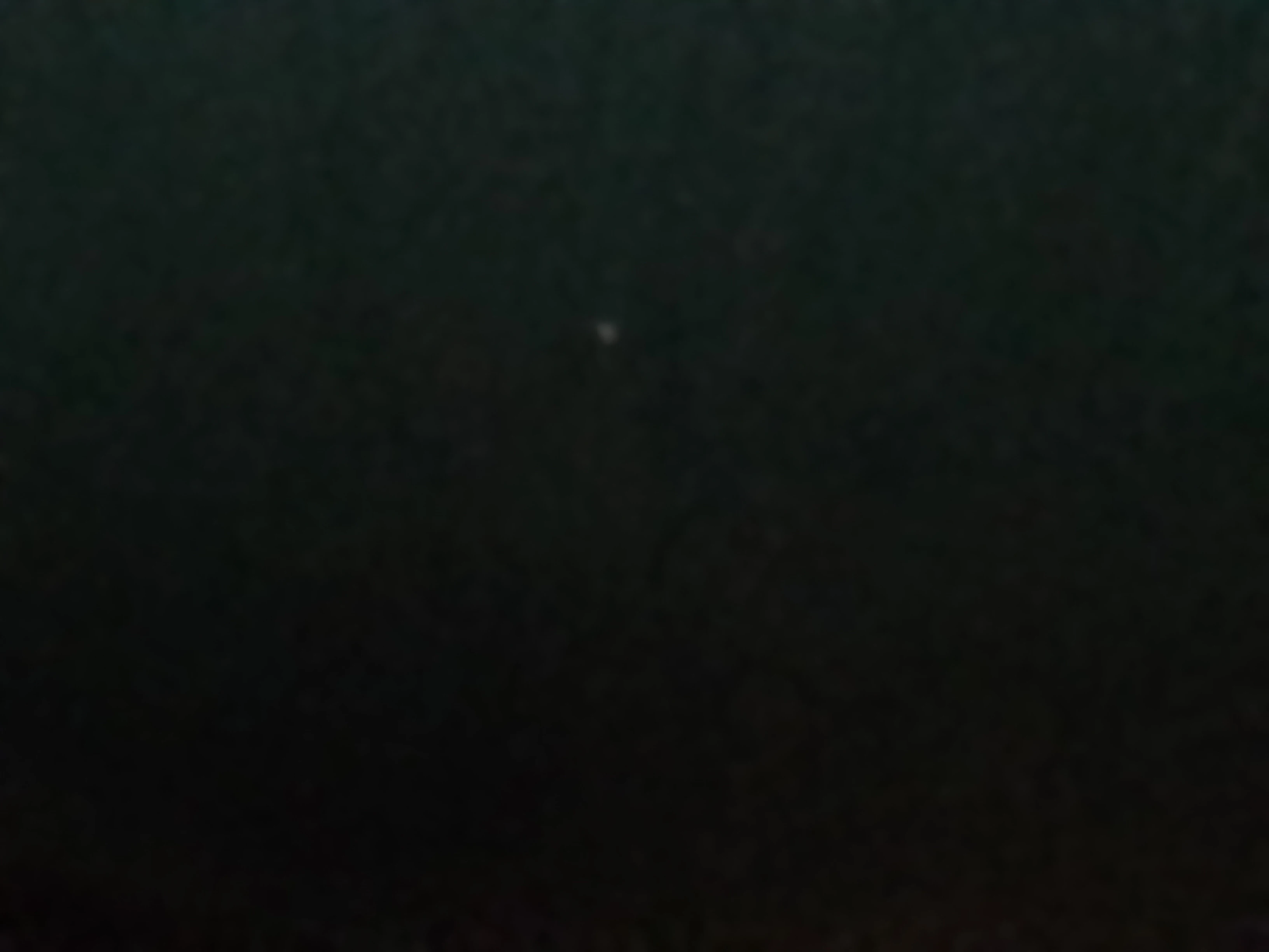 This is jerry | Fandom