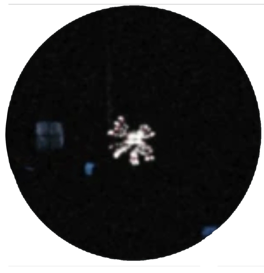 All gone badge | Fandom
