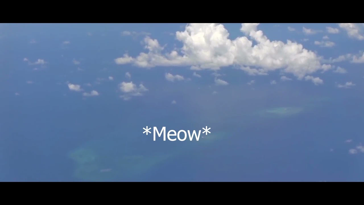 chinese navy meows "meow owo ᵗᵃᶦʷᵃⁿ ᶦˢ ᵒᵘʳˢ ˣᶦⁿᵍʲᶦᵃⁿᵍ ᶦˢⁿᵗ ʳᵉᵃˡ uwu ᵗ ...
