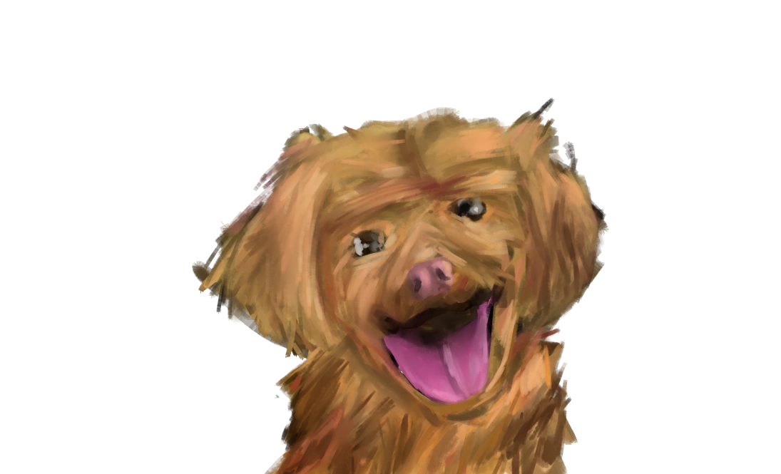 I tried drawing a dog | Fandom