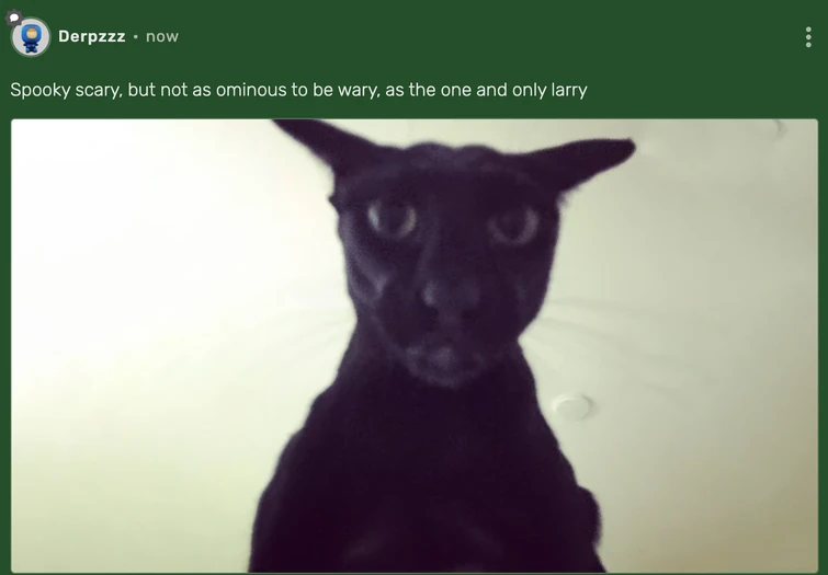 ...4 days until... :OOO more ominous stuff :OOO | Fandom