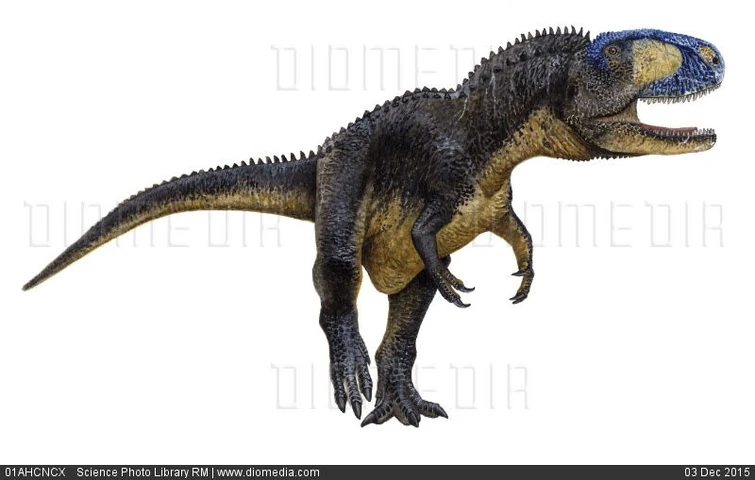 Discuss Everything About ARK: Survival Evolved Wiki | Fandom