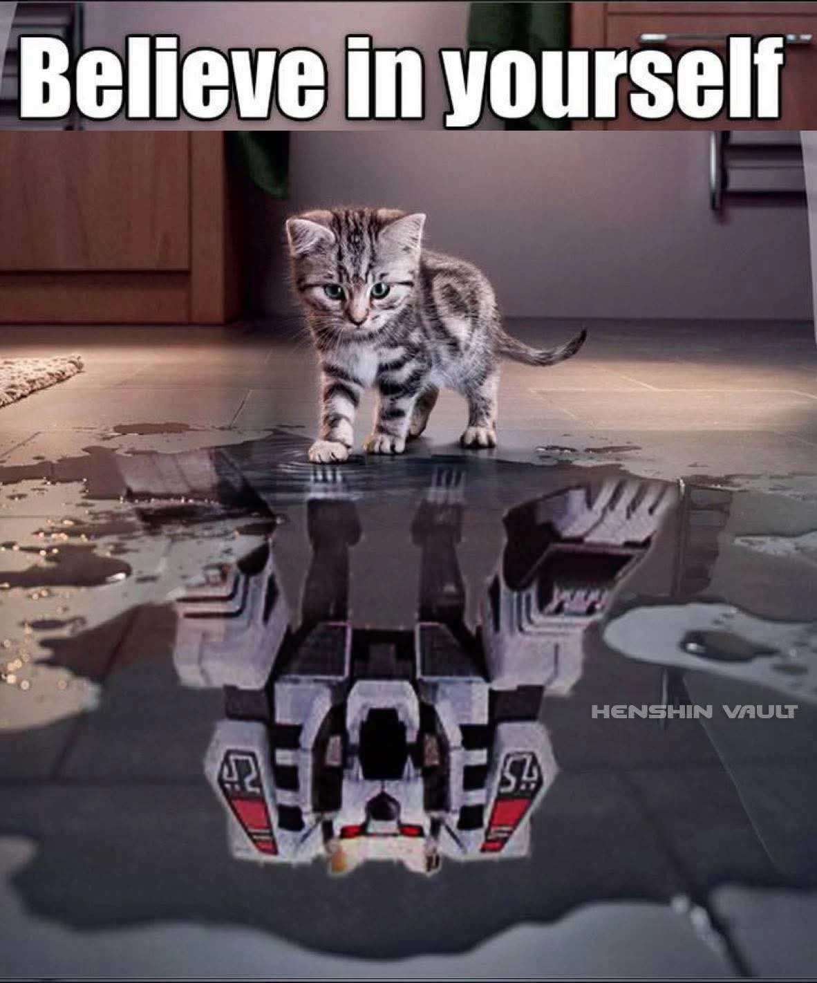 Had to share this power rangers picture - for all you cat lovers | Fandom
