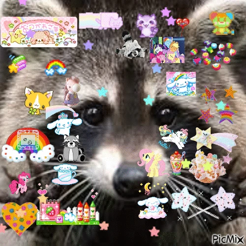 a lil racoon edit i made on picmix | Fandom