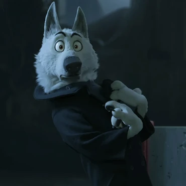 Gary (wolf) Gallery Semi-Finale #2. Which image would serve best for ...