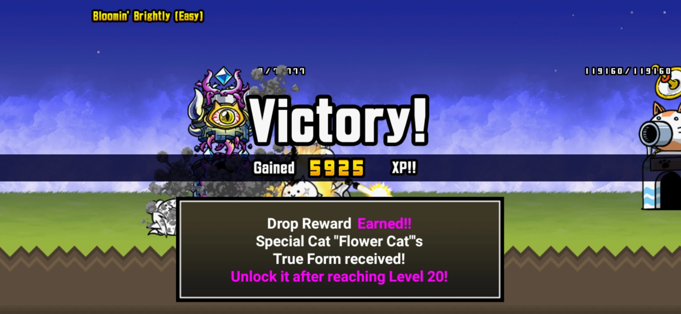 Finally i get bomba cat | Fandom