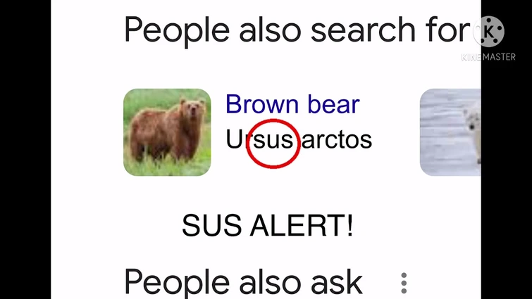 Omg don’t play bee swarm it has bears which is sus! 😳😳😳😳 | Fandom