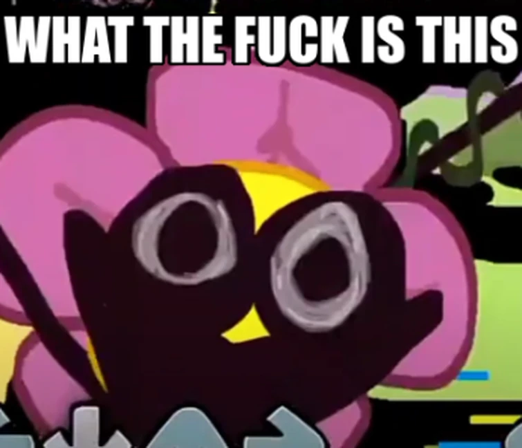 brooooooooooo | Fandom